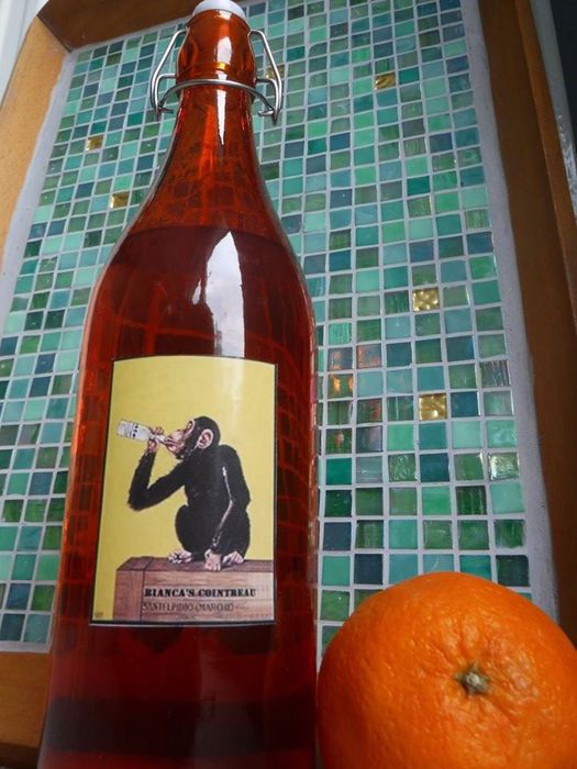 Cointreau :: Homemade Homegrown by Bianca