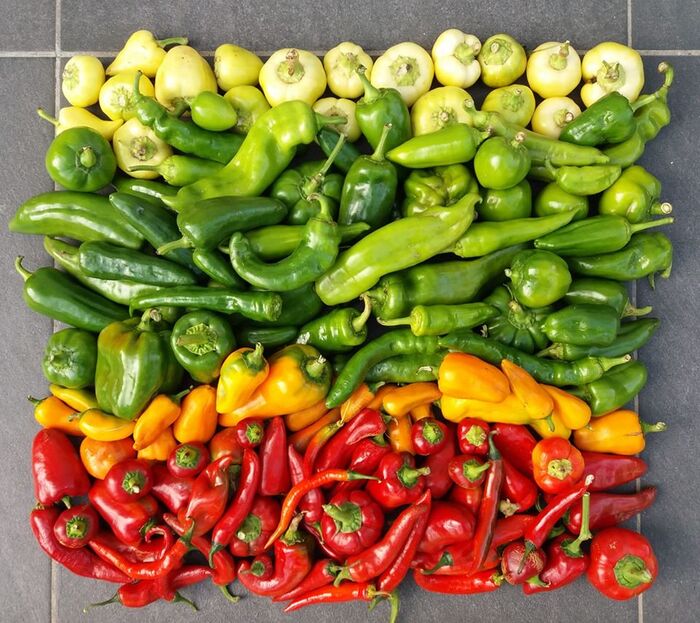 Pepers :: Homemade Homegrown by Bianca