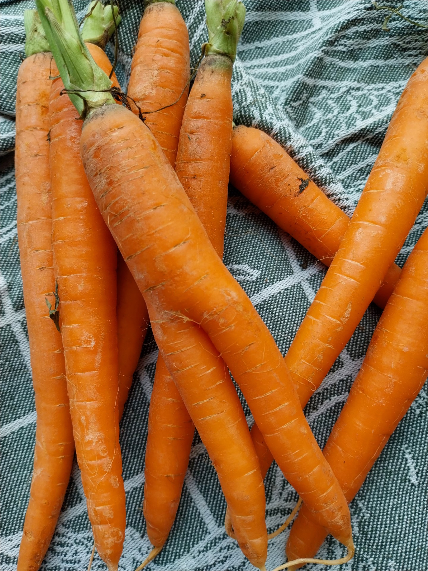 Wortelen :: Homemade Homegrown by Bianca